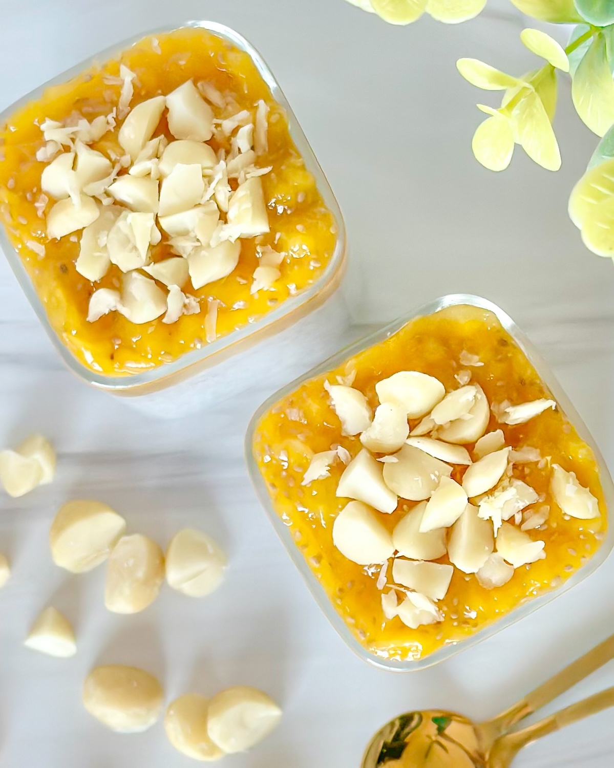 Macadamia Chia Pudding - Claire Bear Bites